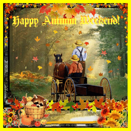 Reflections from Bon Bon Pond: October 2015