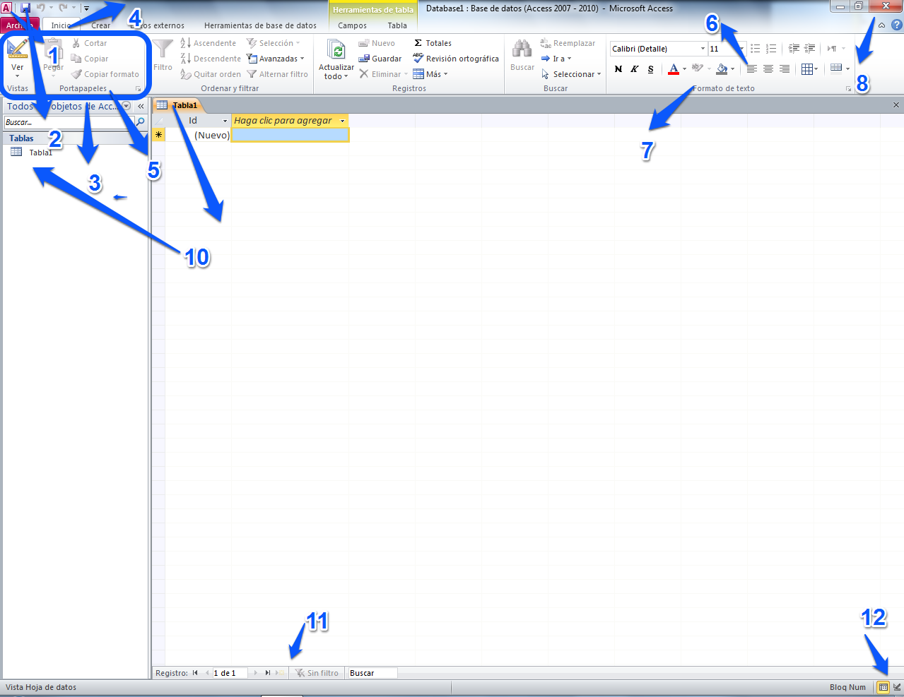 Proyecto Técnico informático: Interfaz gráfica de Access 2010