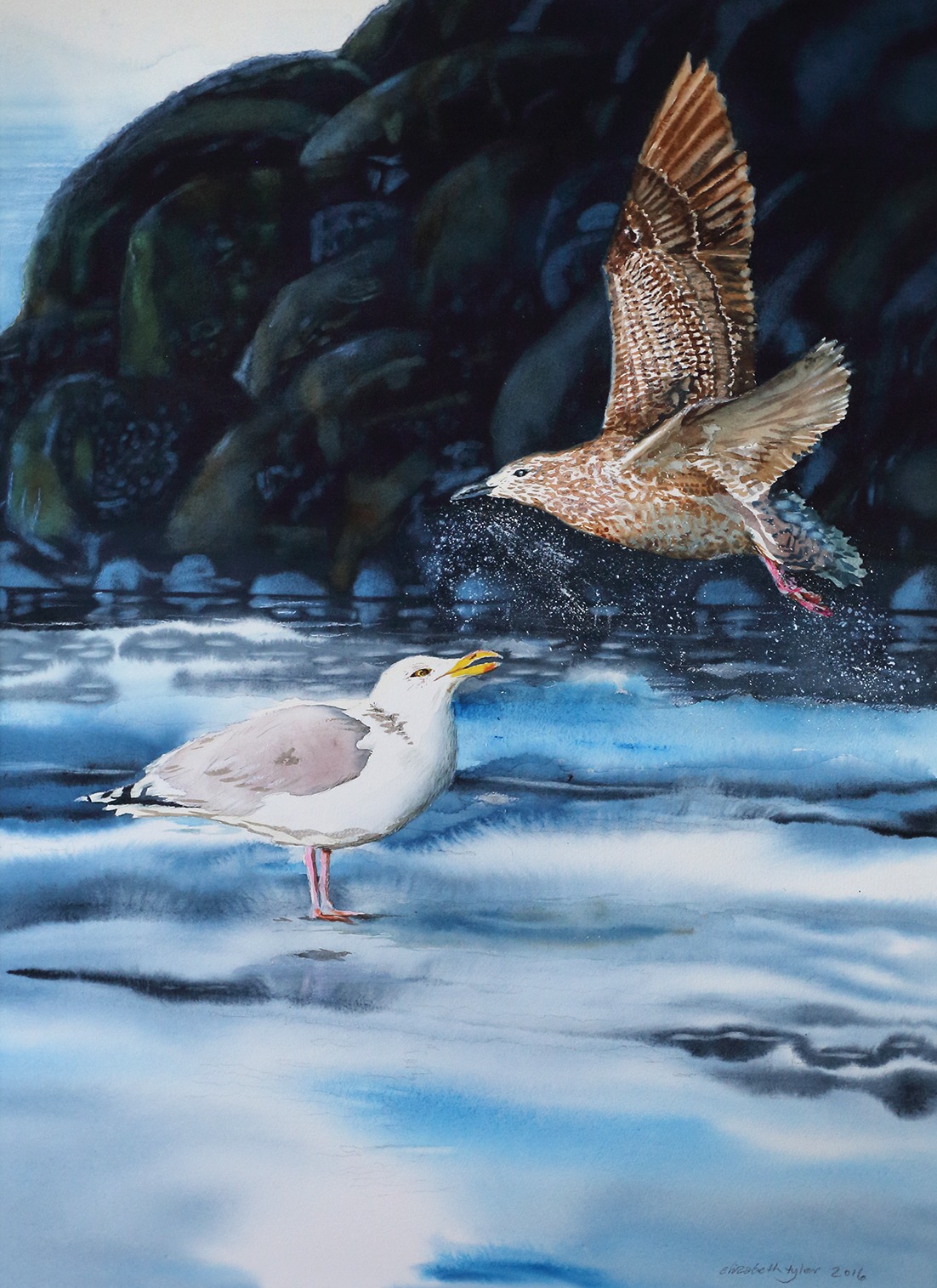 Artist Elizabeth Tyler: 2016