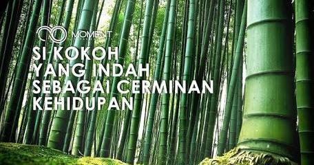 Filosofi Pohon Bambu