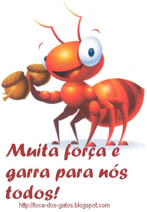 Toca-dos-Gatos: Formiguinhas