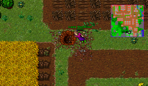 Descomplica: Como Upar Um Mage Rápido - Tibia Life