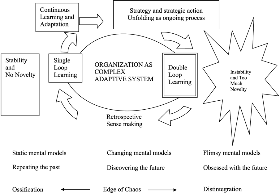 The Vinod Wadhawan Blog: 78. Modelling of Adaptation and Learning in ...