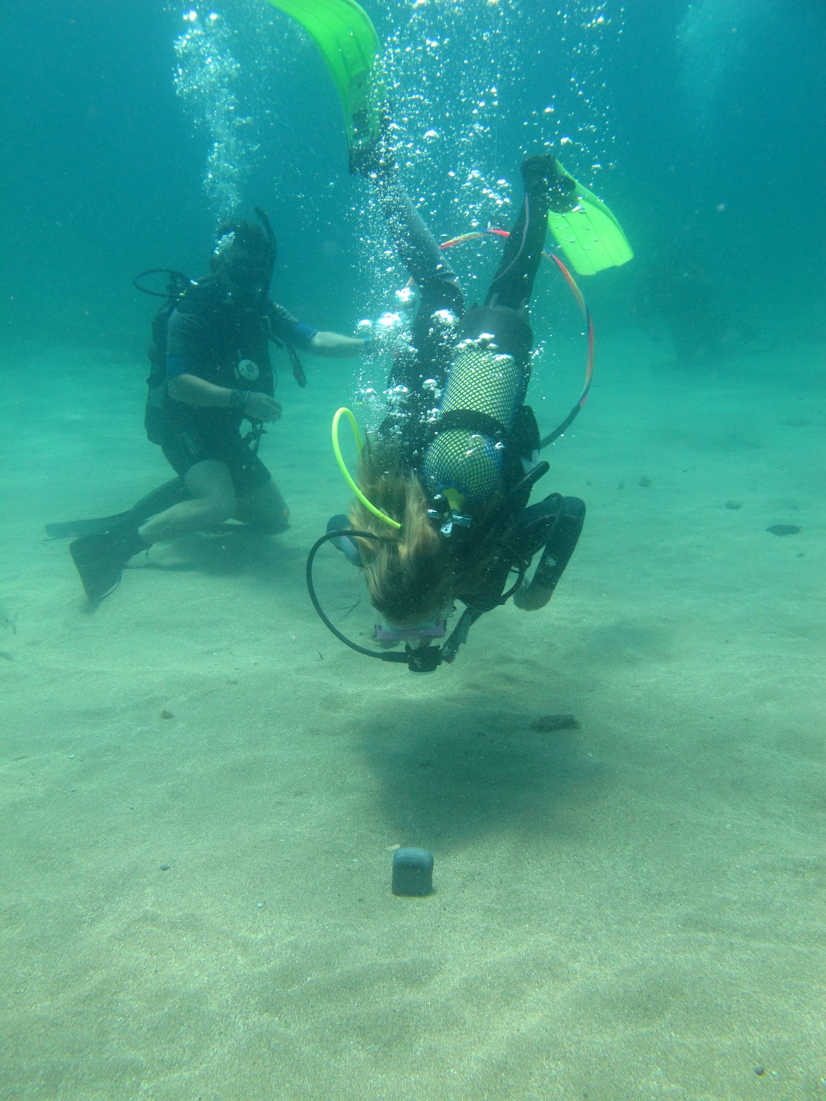 Sea Slug and the Turtle: Advanced Diver Training - Peak Performance ...