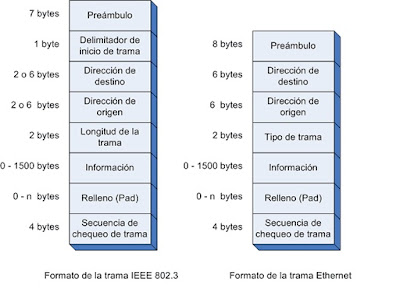 El estándar Ieee 802.3 y el Protocolo Ethernet | net do it