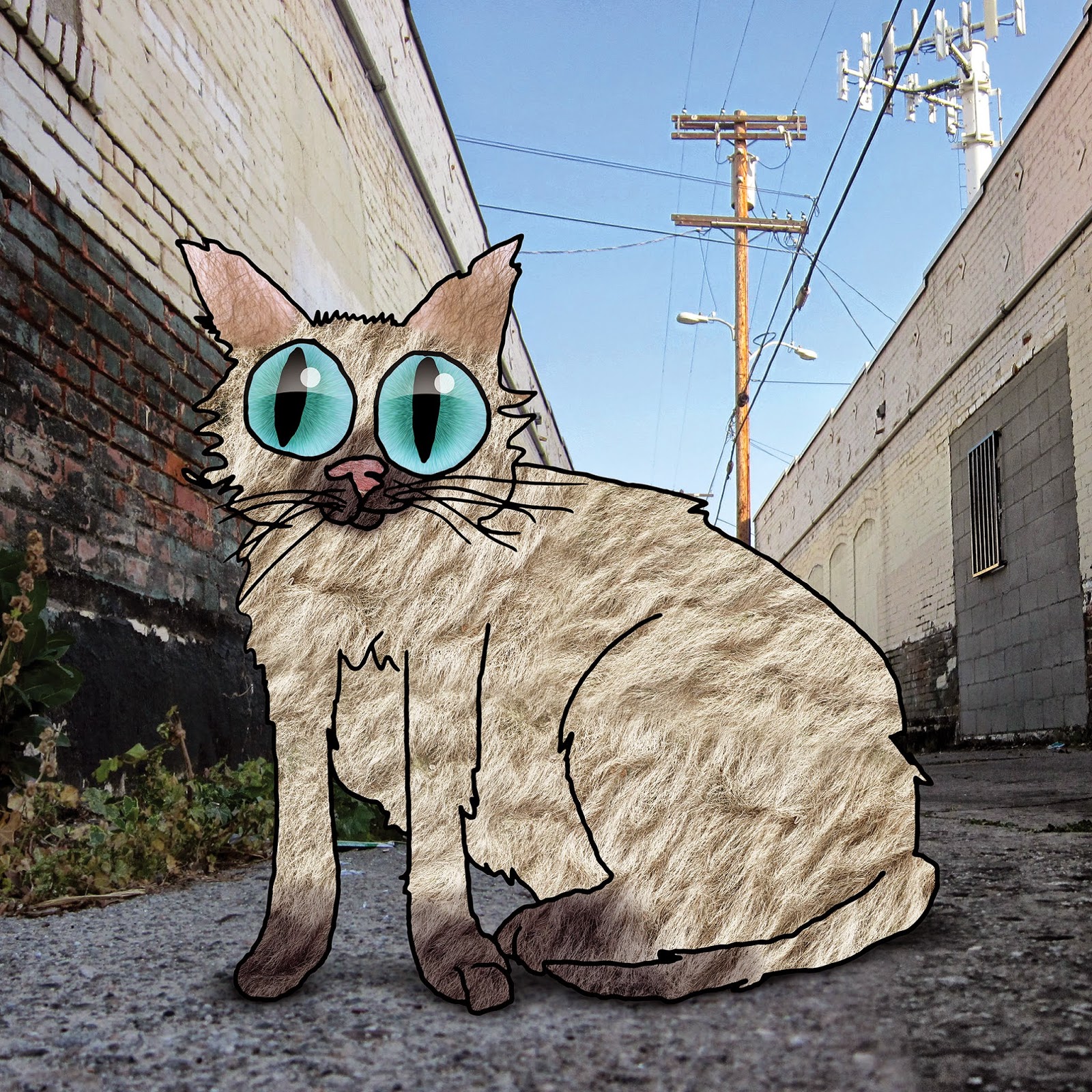 Joel Gausten.com: Fur Real: David Yow & the Art of Cats