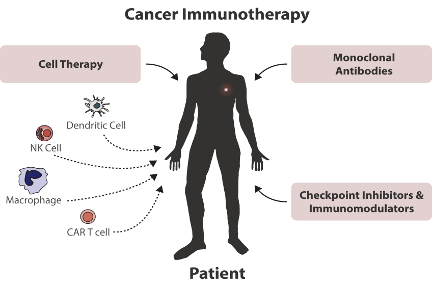 International Conference on Biomarkers and Cancer Targets: Cancer ...