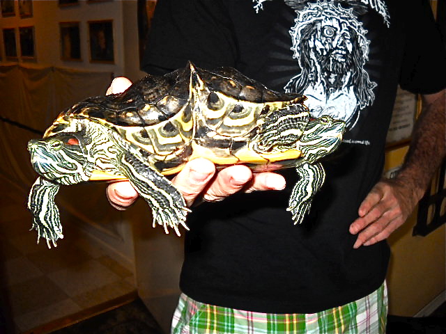 pakajunk: ANG & CHANG