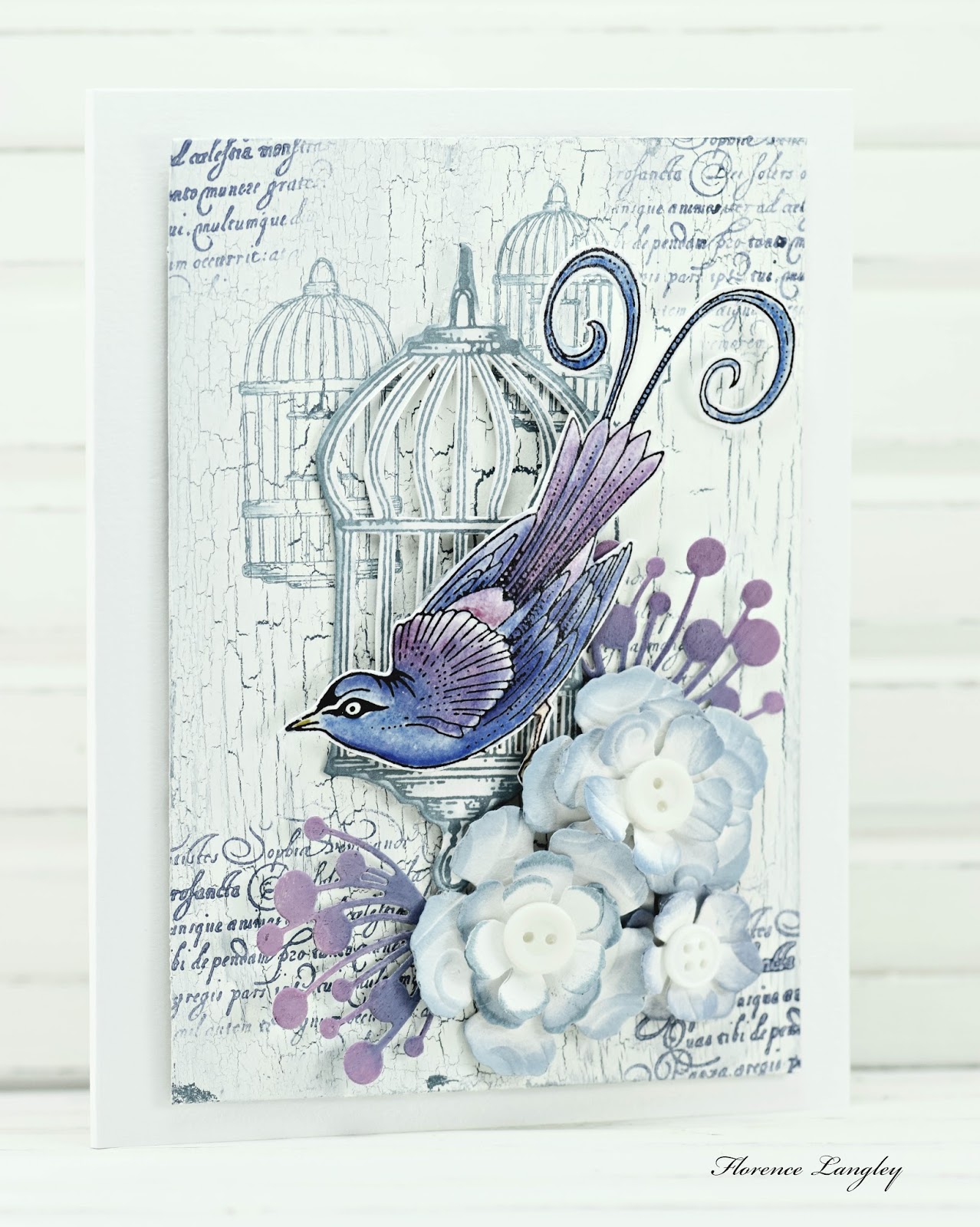 Chocolate Baroque Design Team: A Little Bird Told Me and As Free As A ...
