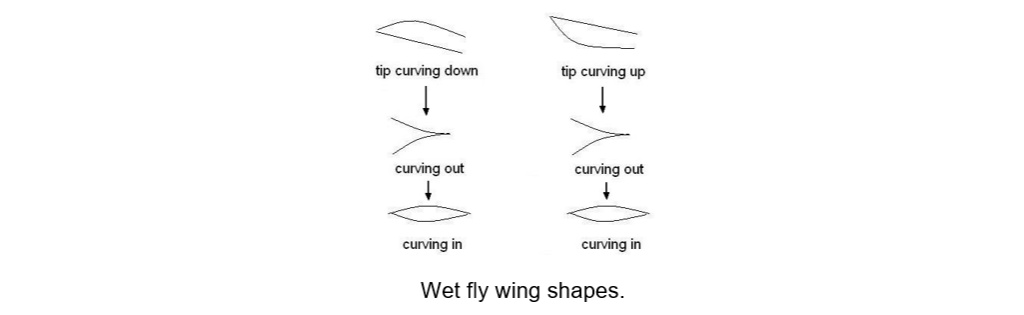 Flytying: New and Old: Fly Tying Tips and Tricks: Part 12