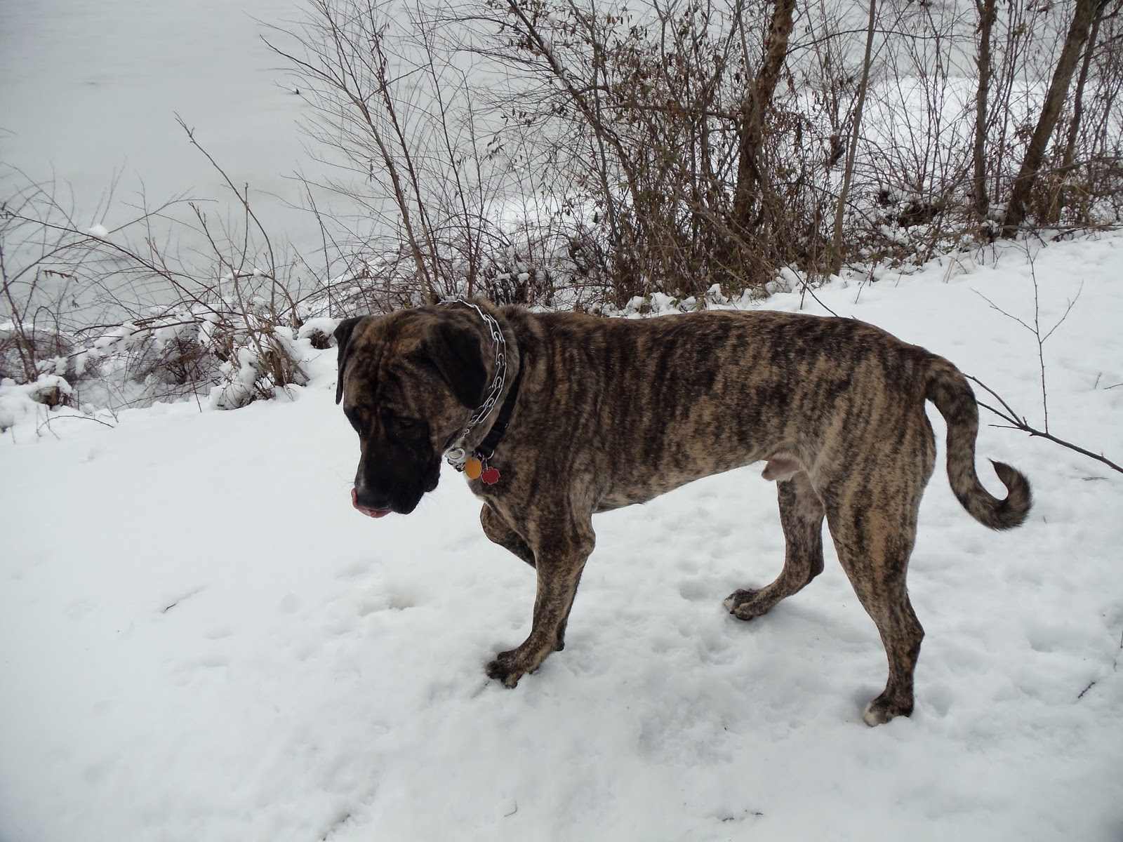 Fila Service Crew: Latest News...