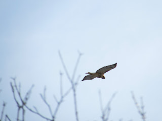 Historic Borough of Roaring Spring, Blair County | Interesting ...