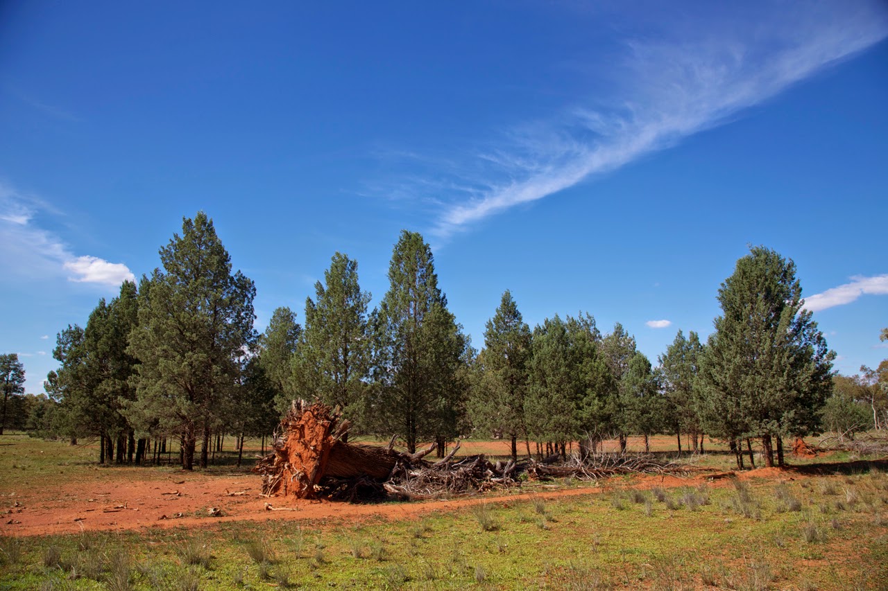 Megan Evans - Artist: Colonial Ancestors - Road Trip Stage 2 - A day in ...