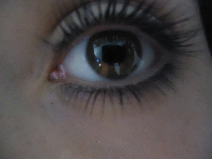 La Senda del Nahuel: marzo 2011