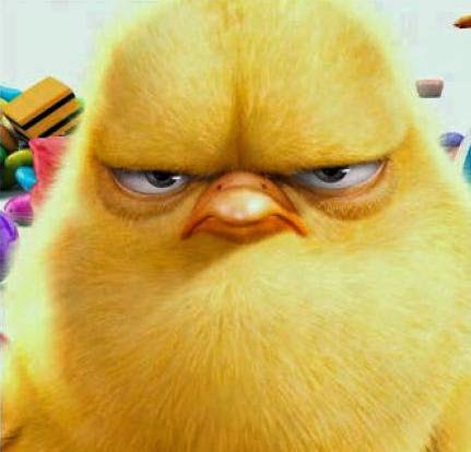 Todo Blackberry: Pollito enojado