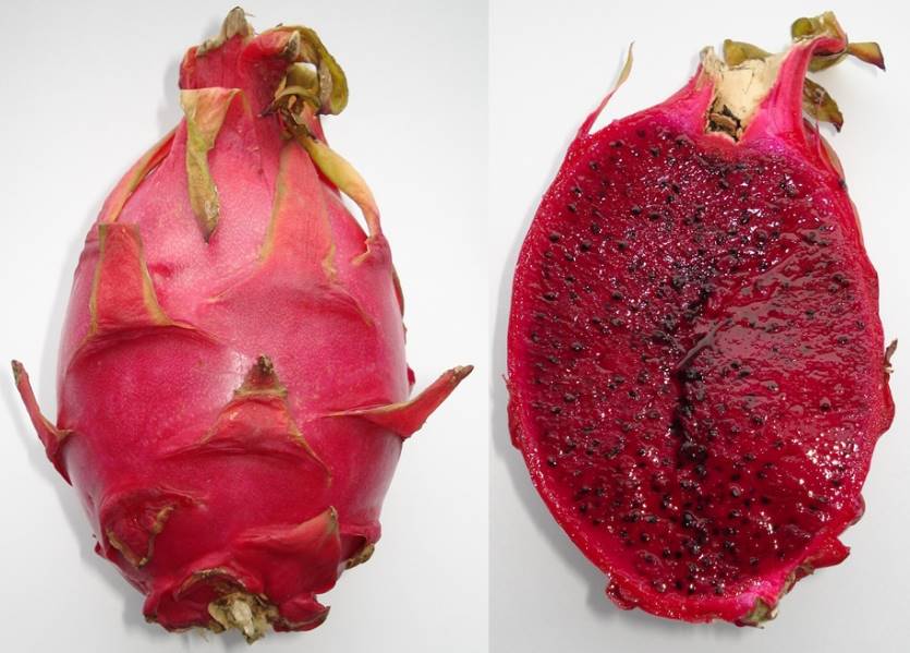 SUBHANALLAH Ternyata Manfaat Buah Naga Merah Besar Sekali Untuk Tubuh ...