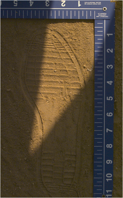 Professor McCutcheon: oblique lighting