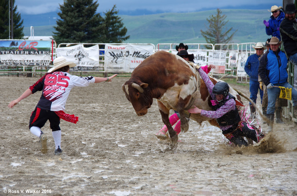 Ross Walker photography: Rainy Day Rodeo