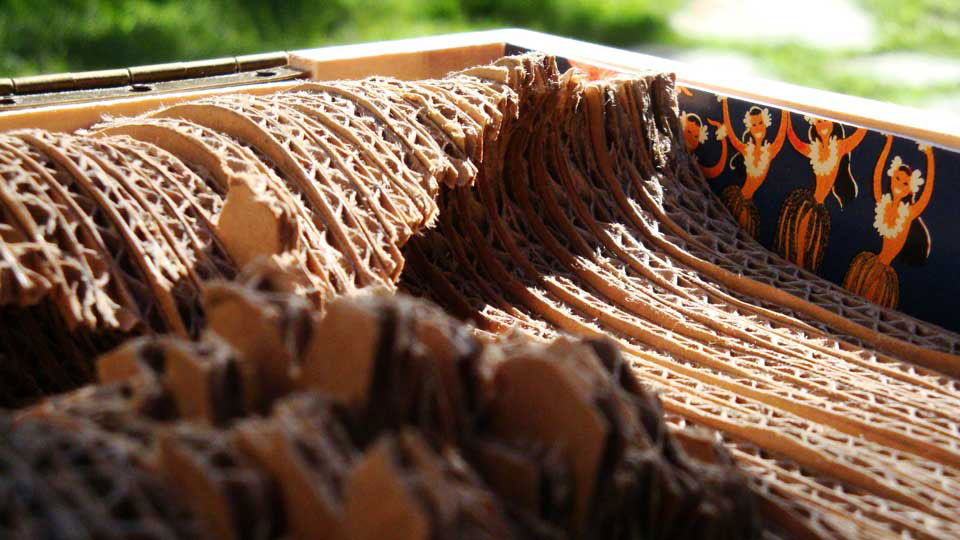 Graphic Design, Architecture and Photography