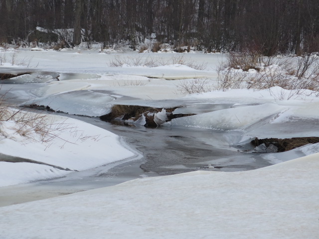 Wake Robin : ice lines
