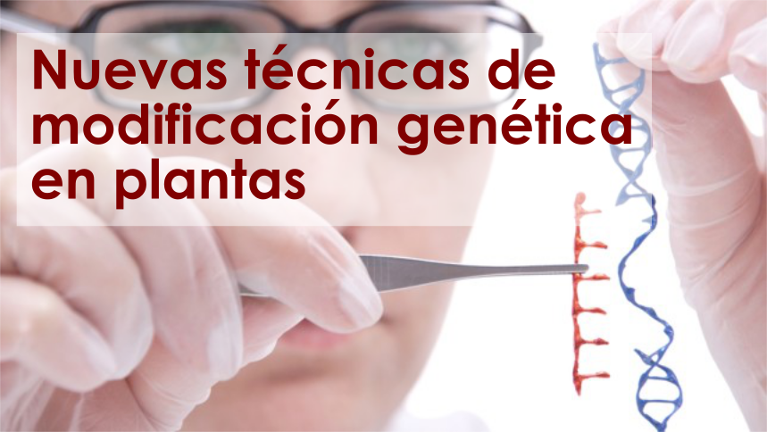 Plants Developed by New Genetic Modification Techniques