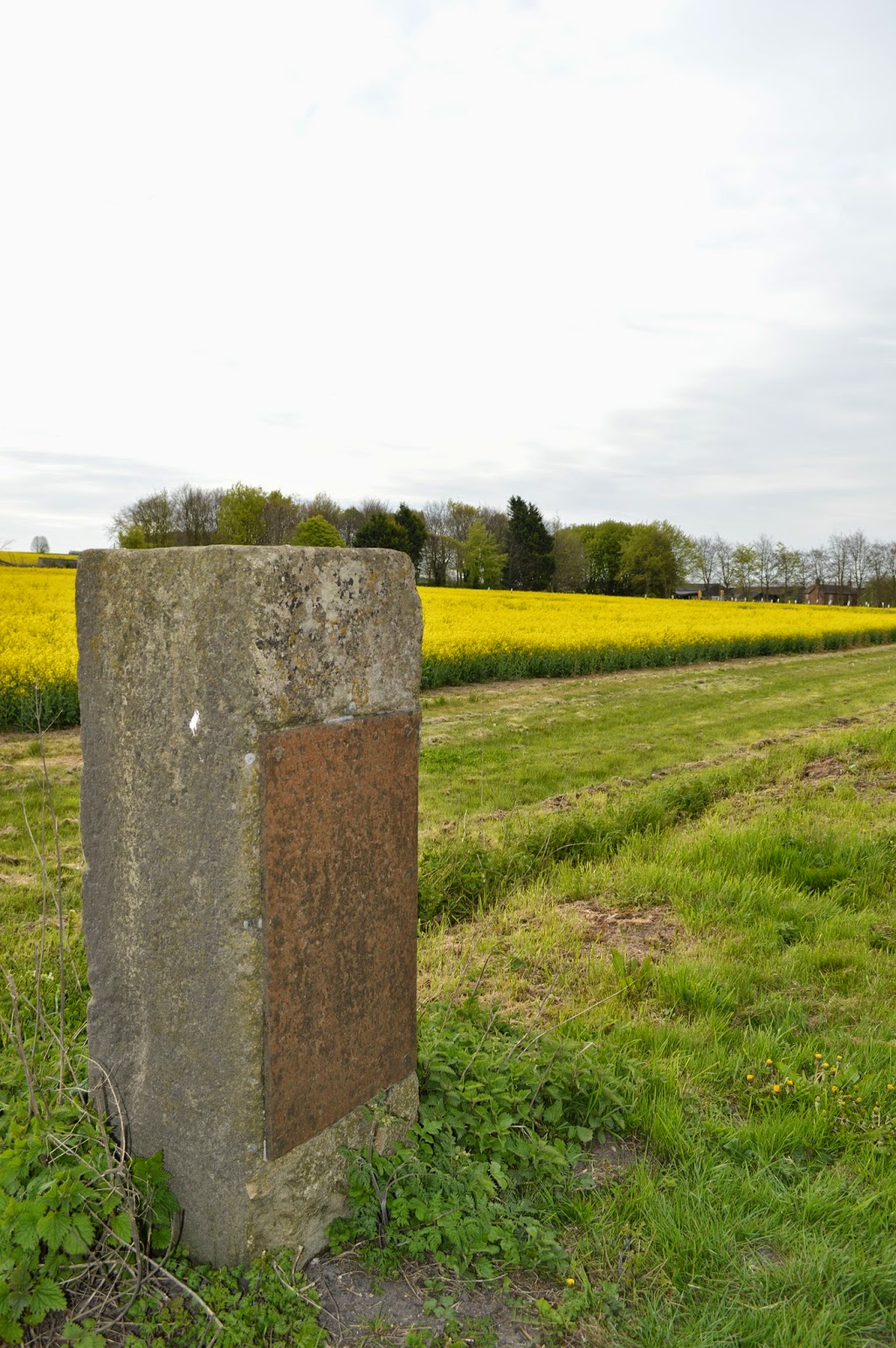 Random encounters with the unusual: A Robbery at Gore Cross