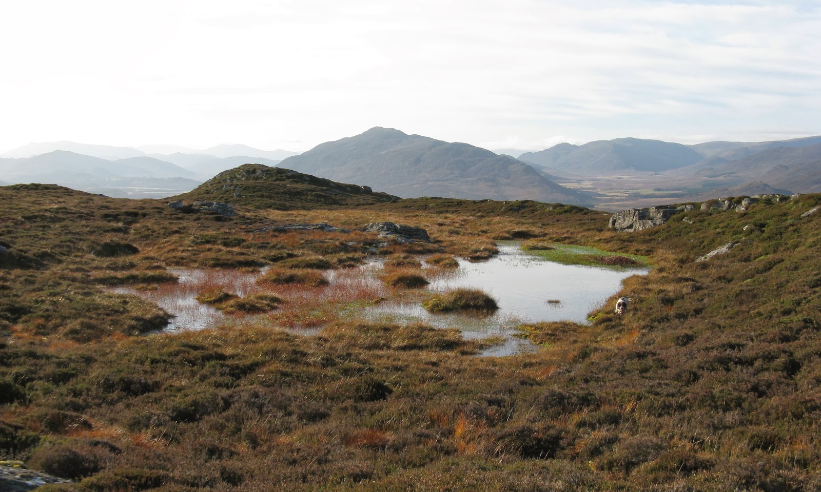 Neil's Hillwalking Exploits: Creag Bheag (Kingussie)