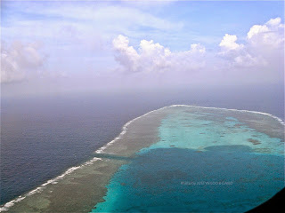 Layang Layang – Swallow’s reef | TVOKM