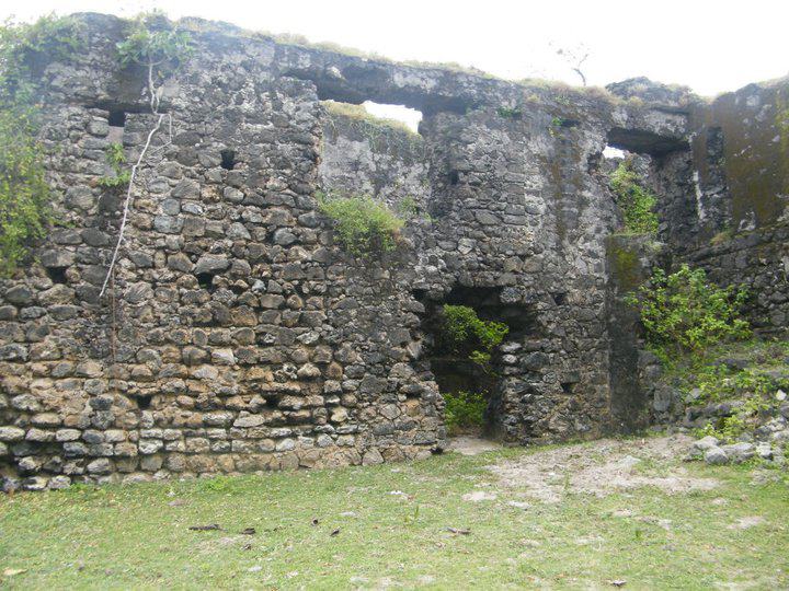 PANORAMIC DELFT ISLAND EXCURSIONS