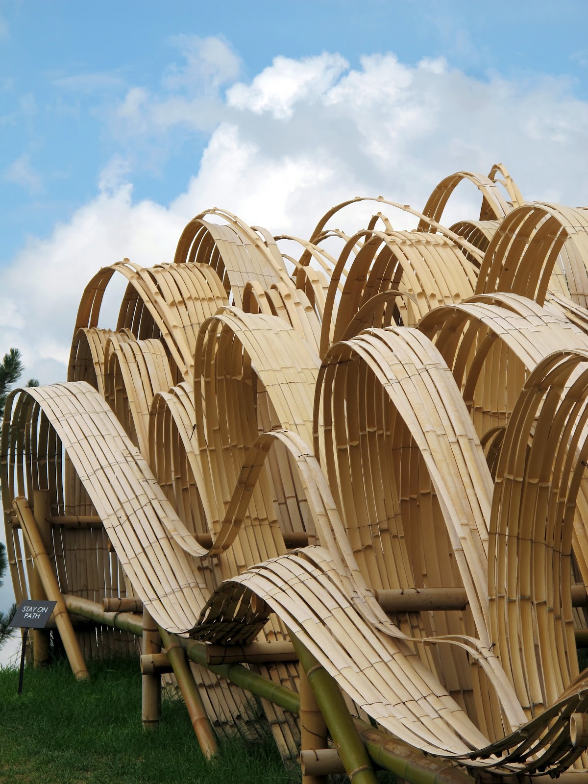 Robin Talks, Cooks and Travels: An explosion of Bamboo at the Denver ...
