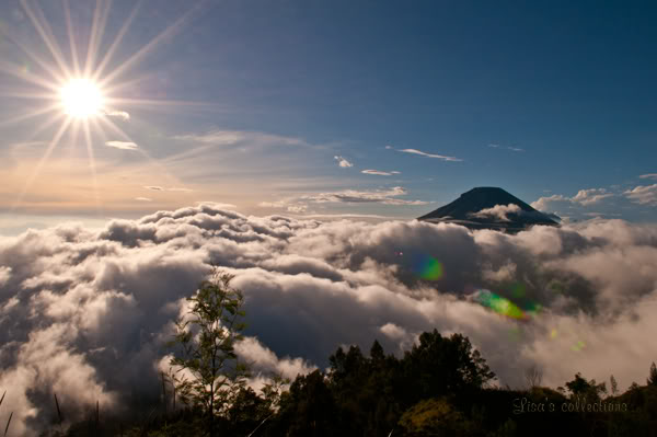 Gunung Sindoro, Salah Satu Gunung Dengan Jalur Pendakian Menawan ...
