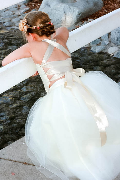 Finley Gray: The Story Behind The Pictures....