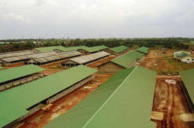 SamAde: Ten biggest farms in Nigeria and the owners