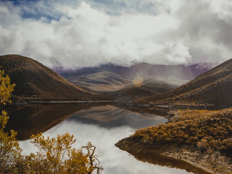 Flyinghorse Photography