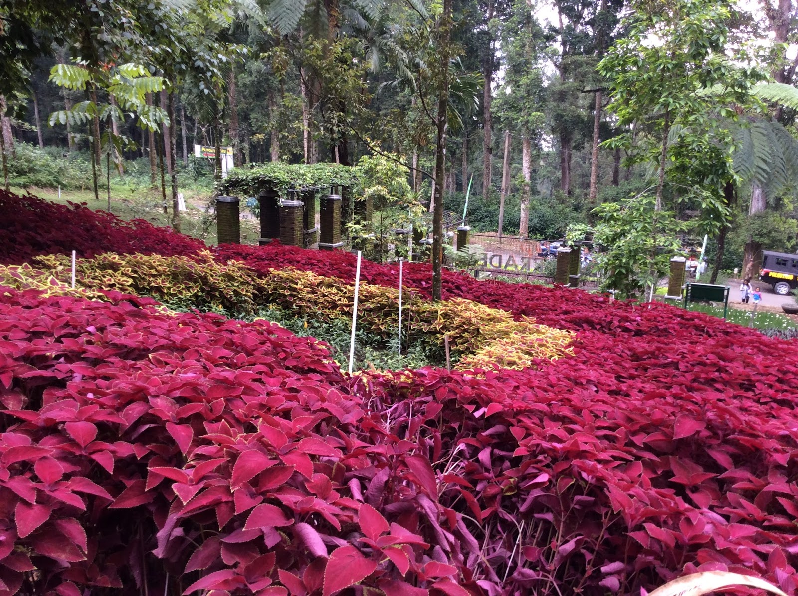 Rainbow Moms: Kebun Raya Baturaden, Purwokerto Jawa Tengah