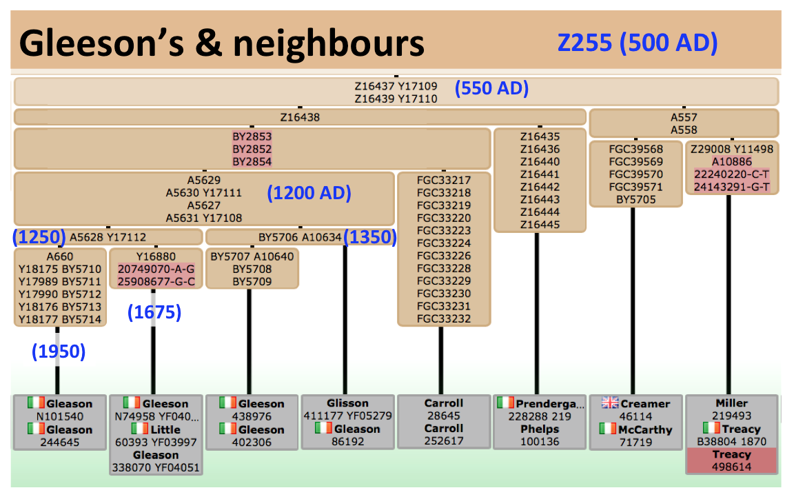 The Gleason / Gleeson DNA Project: The Phelps Connection