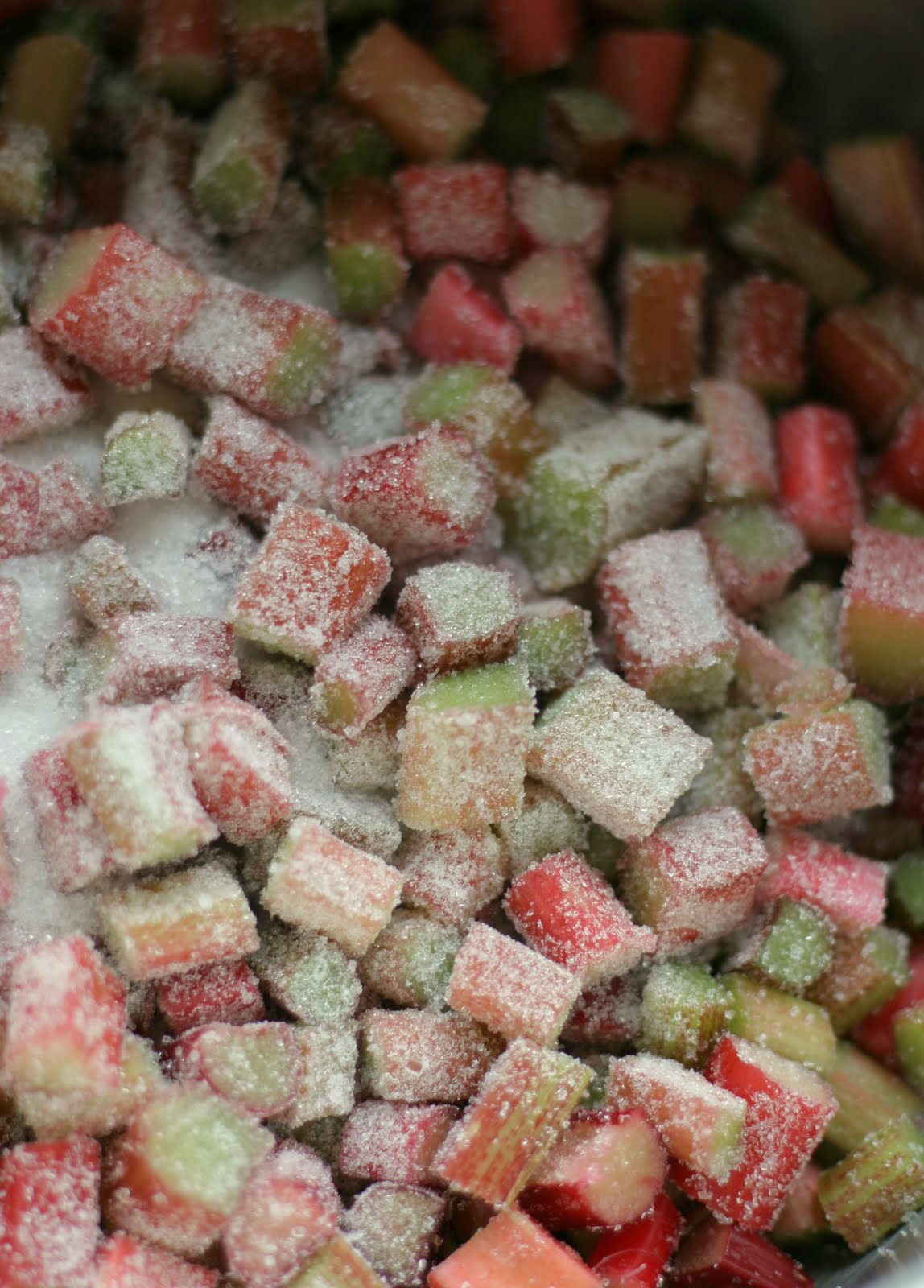 Rabarbra- og jordbærsyltetøy – Marias Salt & Søtt