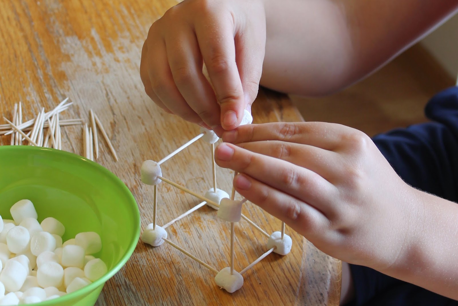 The Logan's: Toothpick & Marshmallow Houses