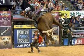 8 Arriba: JB Mauney 2013-2014