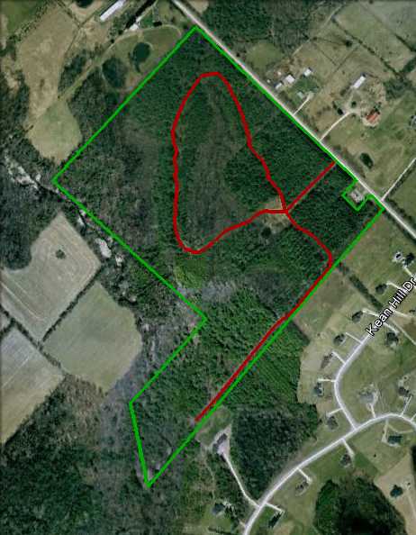 Hiking in Ontario: Elliott Tract - Halton Regional Forest