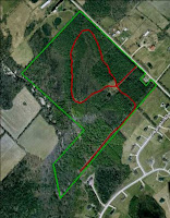 Hiking in Ontario: Elliott Tract - Halton Regional Forest