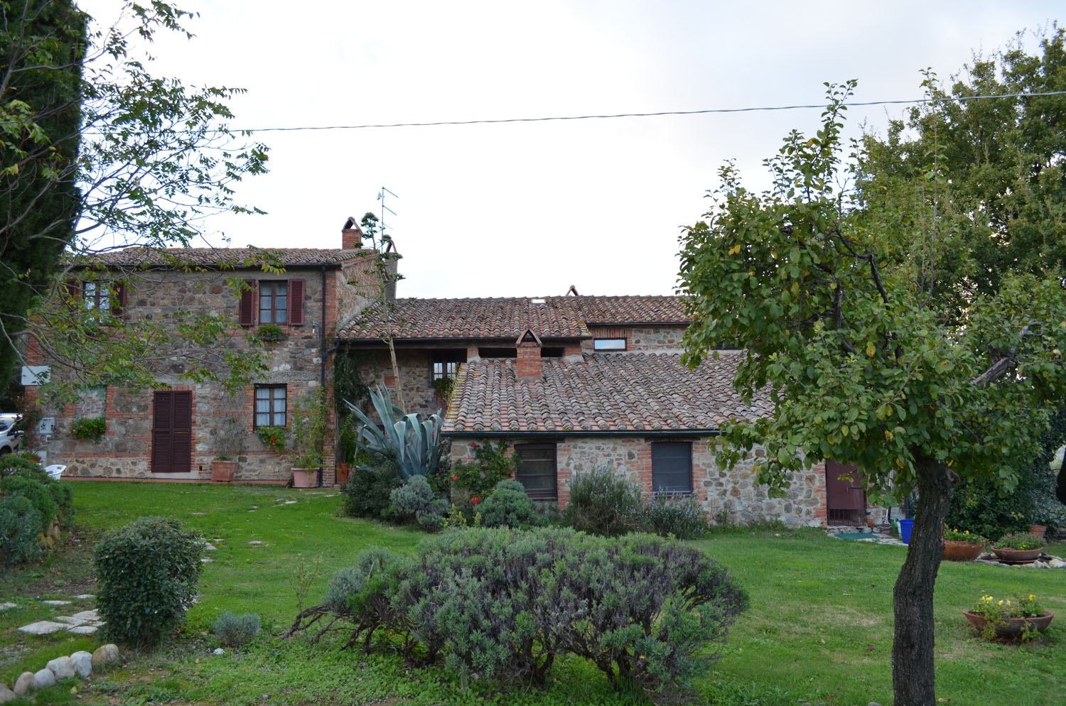 Desarae Lee Illustration