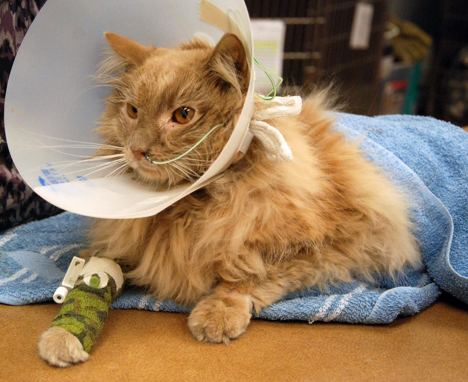 kenneth in the (212): Jack Is Back!!!