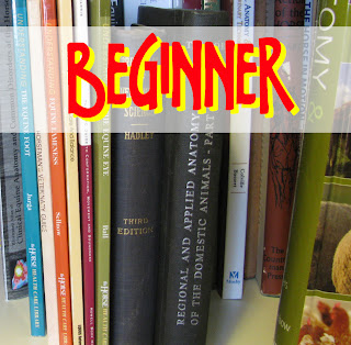 Musings at Minkiewicz Studios LLC: Beginner's Top Ten