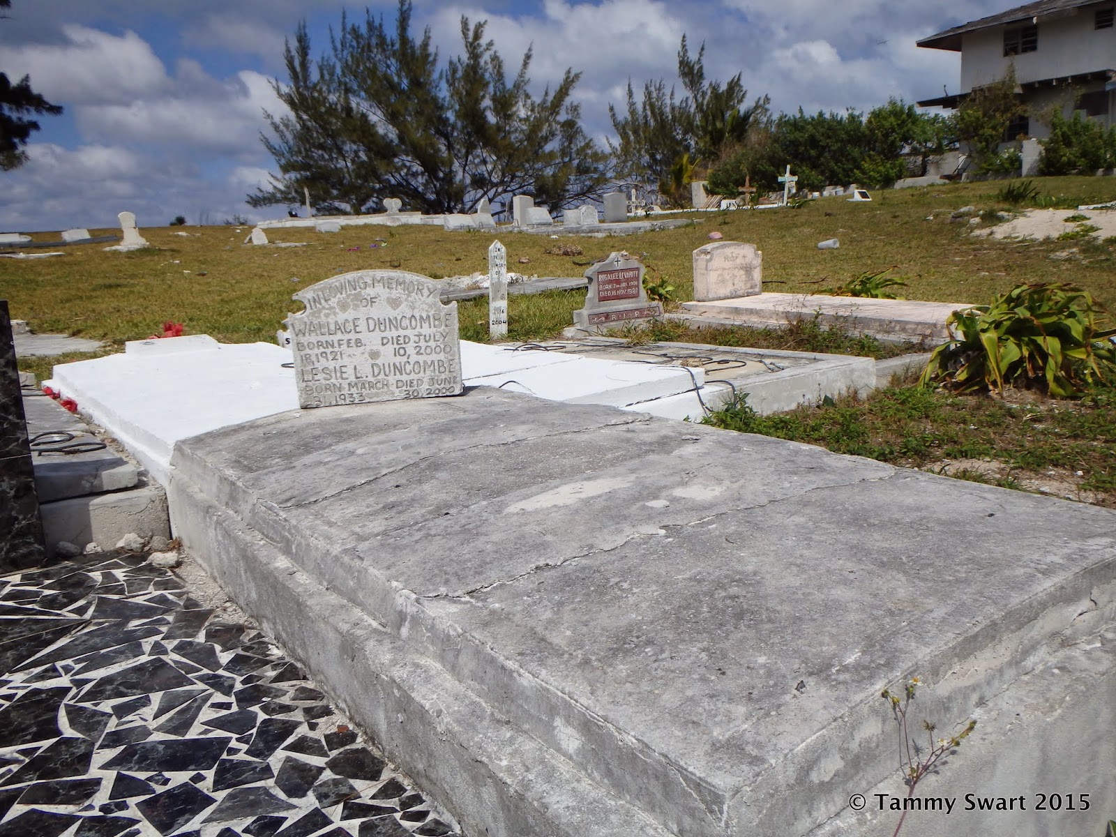 Things we did today...: Bimini Dayze