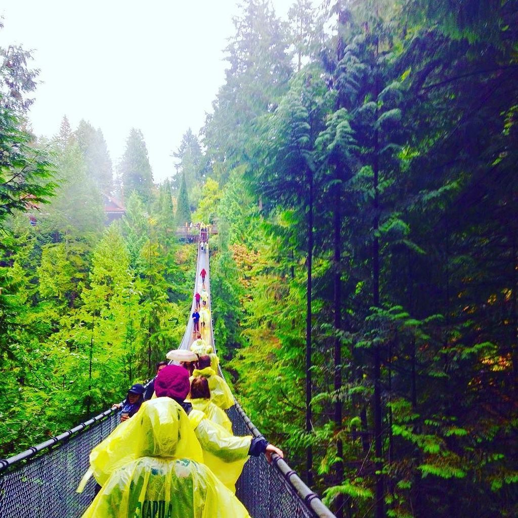 What to expect at Capilano Suspension Bridge - Vancouver - The ...