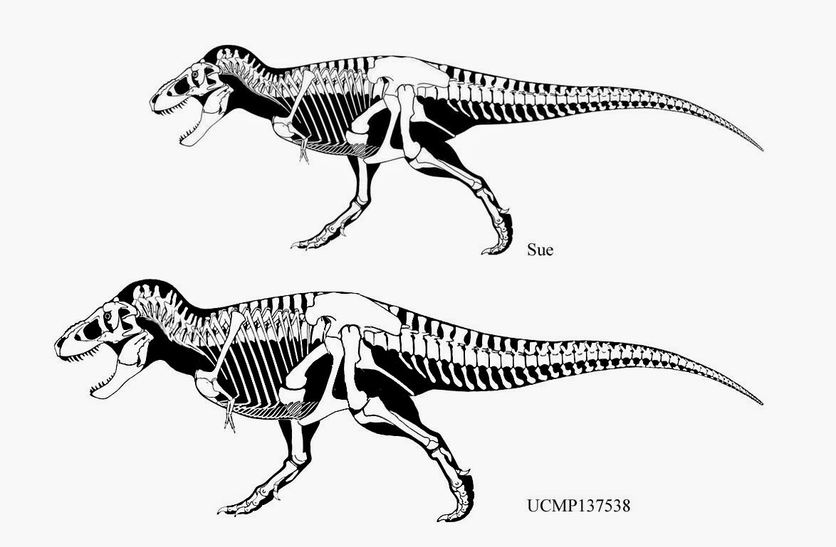 Dinosaurs World: O T-rex tinha 15 metros de comprimento?