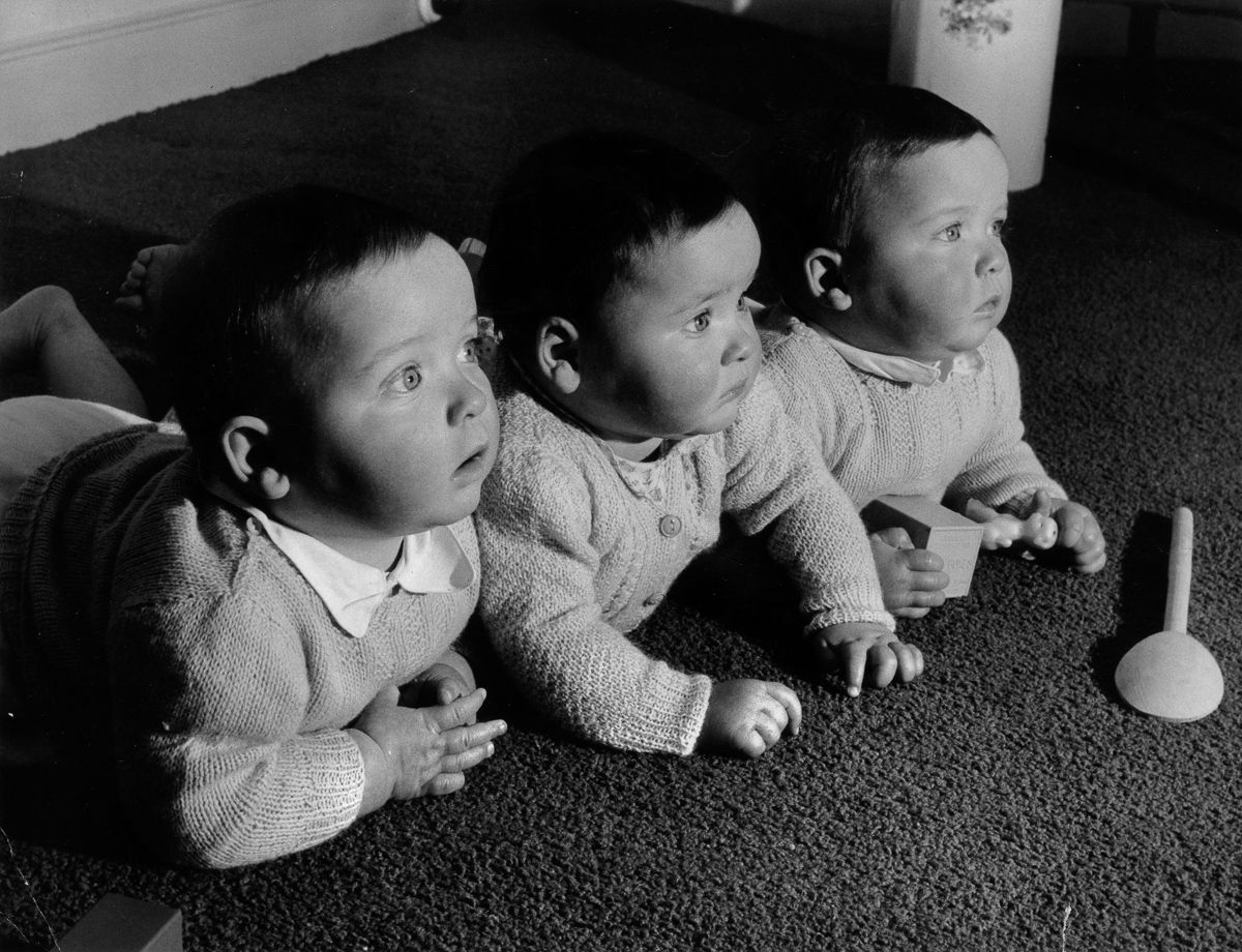 Babies, Babies, and More Babies: Historical Photos From the 1940s and 1950s Show How Huge the ...
