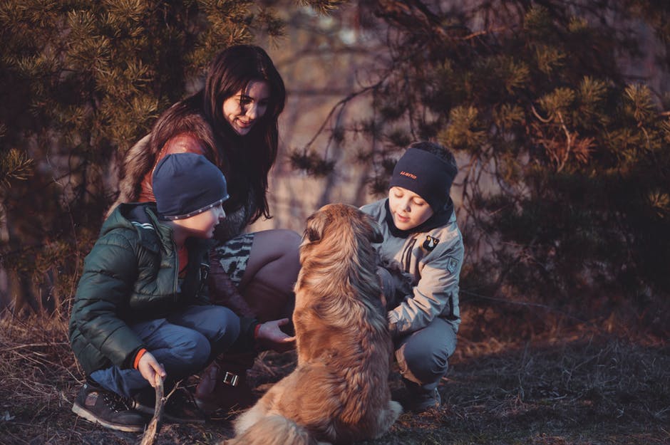 5 Benefits of Raising Pets With Children - enty