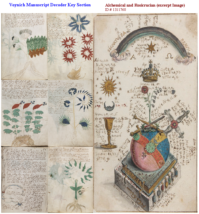 books...: Voynich manuscript - the mistery